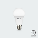 Ecolum LED Bulb