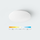 LED Ceiling Lamps | Modern Lighting - FELCO Store