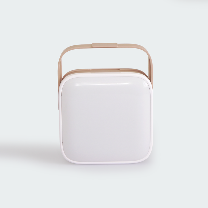 Firefly Rechargeable Handy Emergency Lamp – FELCO Store