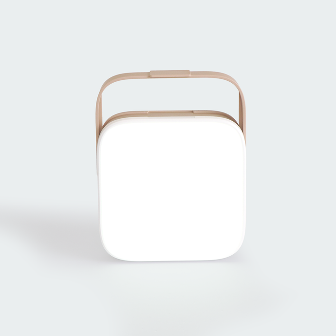 Firefly Rechargeable Handy Emergency Lamp – FELCO Store