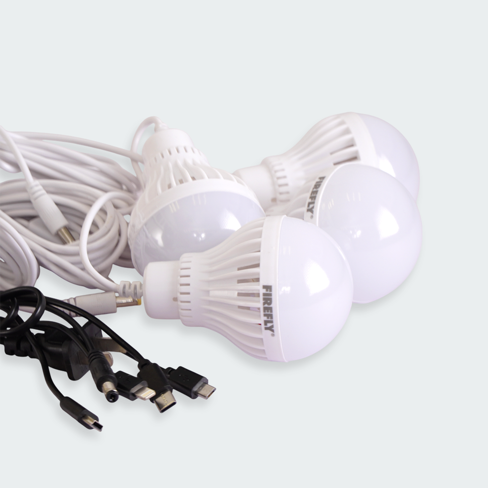 Firefly Portable Power Station – FELCO Store