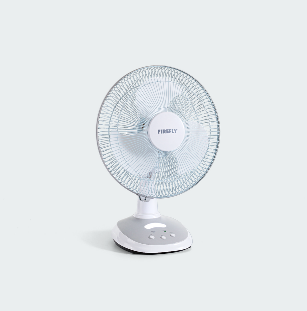 Firefly Rechargeable 12" Fan with Night Light – FELCO Store
