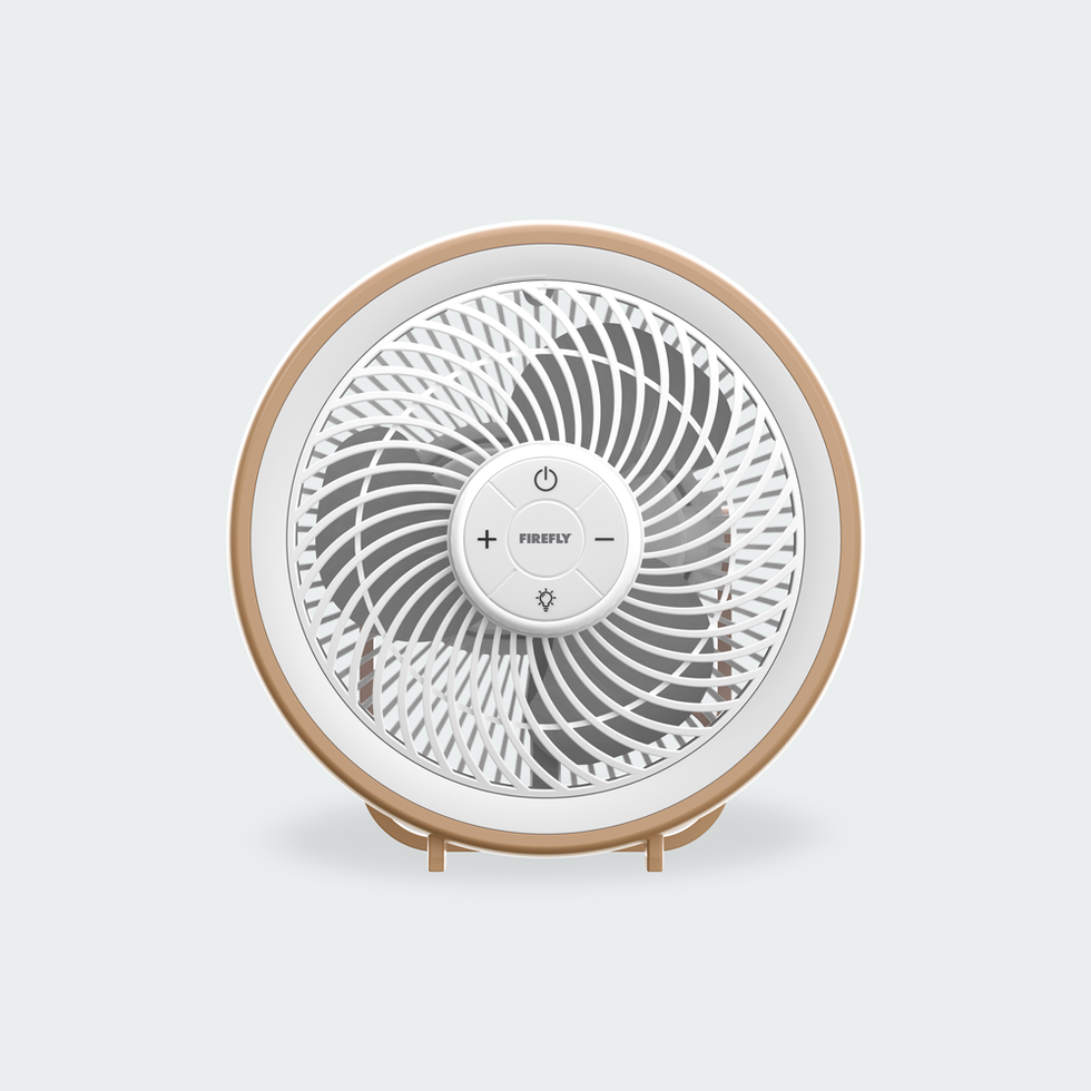 Firefly Rechargeable Mini Desk Fan with Night Lamp and Hook – FELCO Store