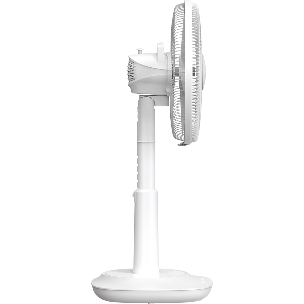 Firefly 16” Rechargeable Stand Fan with Lamp – FELCO Store