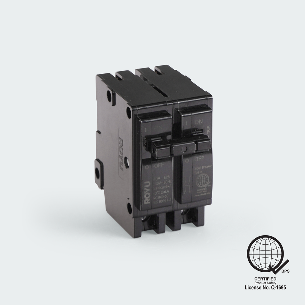 ROYU Circuit Breaker Plug-In Type 40A – FELCO Store