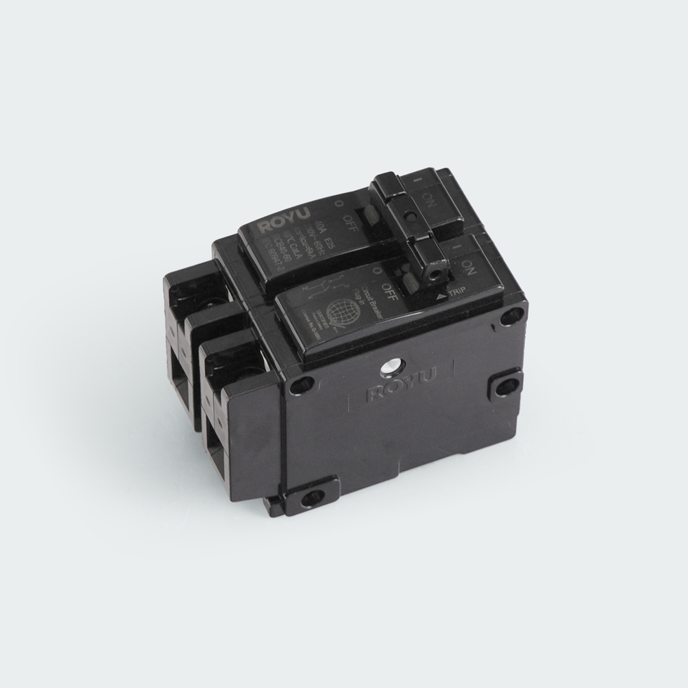 ROYU Circuit Breaker Plug-In Type 40A – FELCO Store